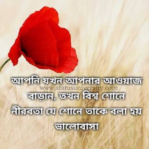 Heart Touching Love Bengali shayari