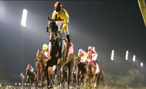 A Beginner's Guide to Singapore Pools Horse Racing